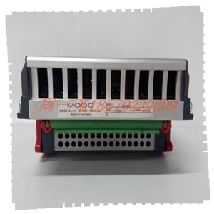 DS2020ASDAG1 模块备件_瑞昌明盛自动化设备有限公司